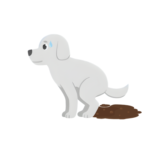 Durchfall beim Hund - Was tun?